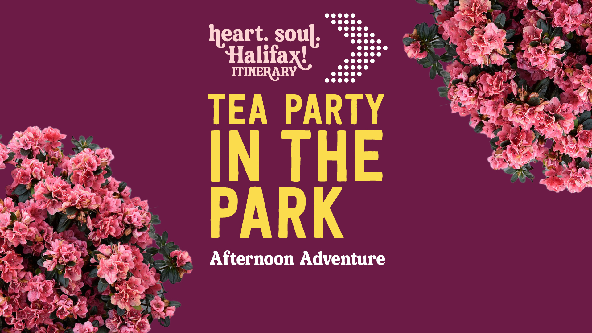 Tea Party in The Park: Afternoon Adventure Itinerary | Discover Halifax