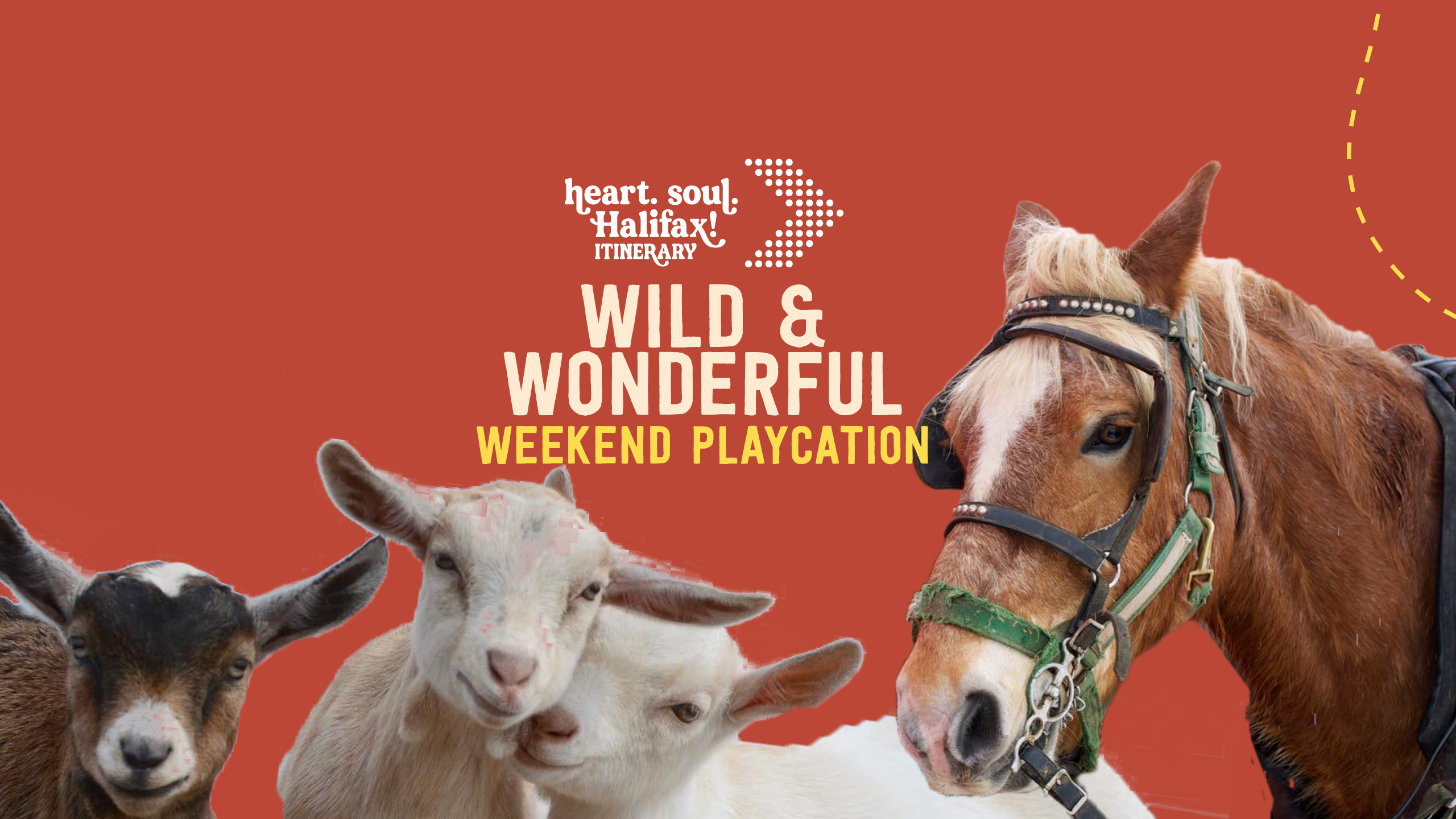 Wild & Wonderful Weekend Playcation Itinerary | Discover Halifax
