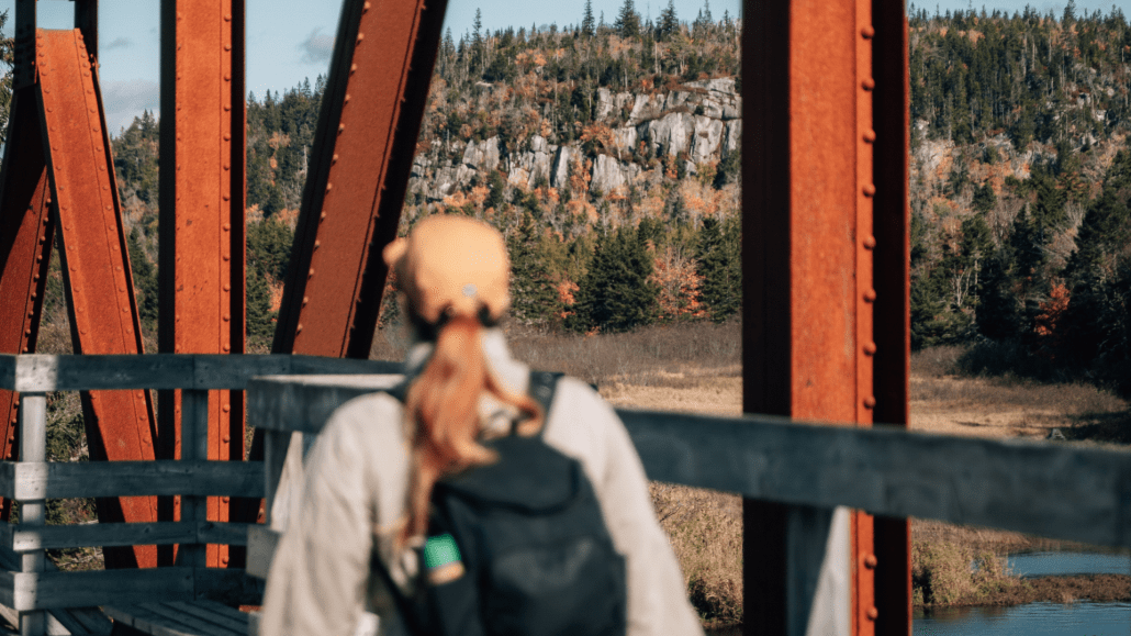 10 Must-Do Halifax Hikes - Discover Halifax