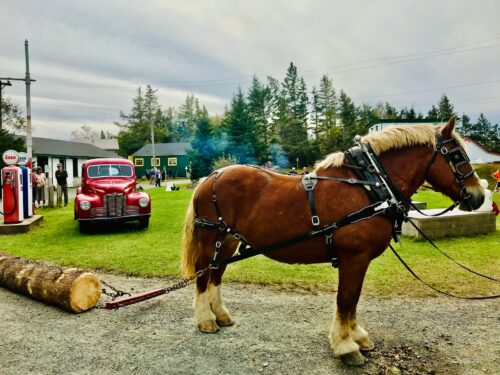 Fall - Discover Halifax