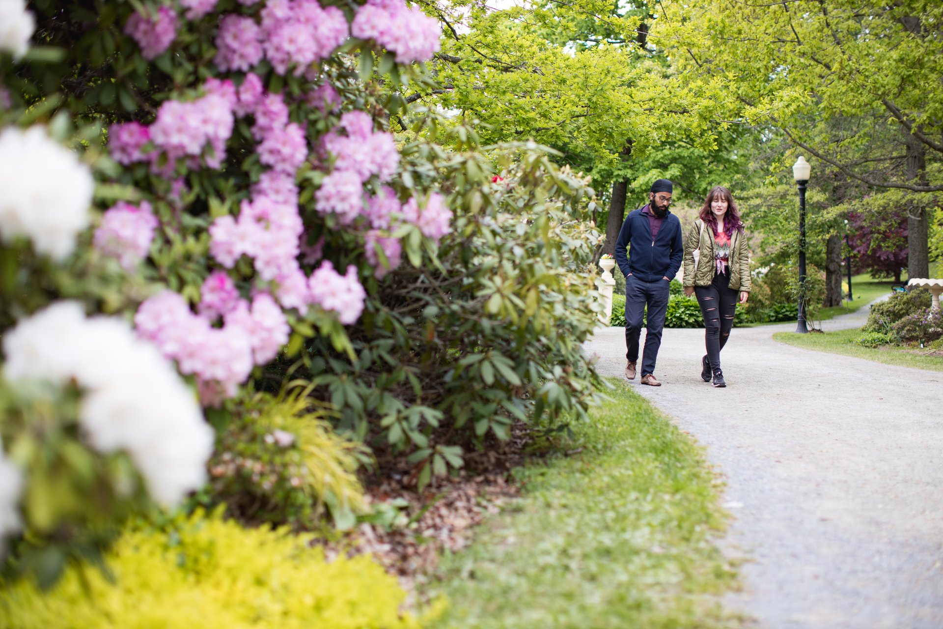 Eyelevel Artist-Run Centre - Discover Halifax
