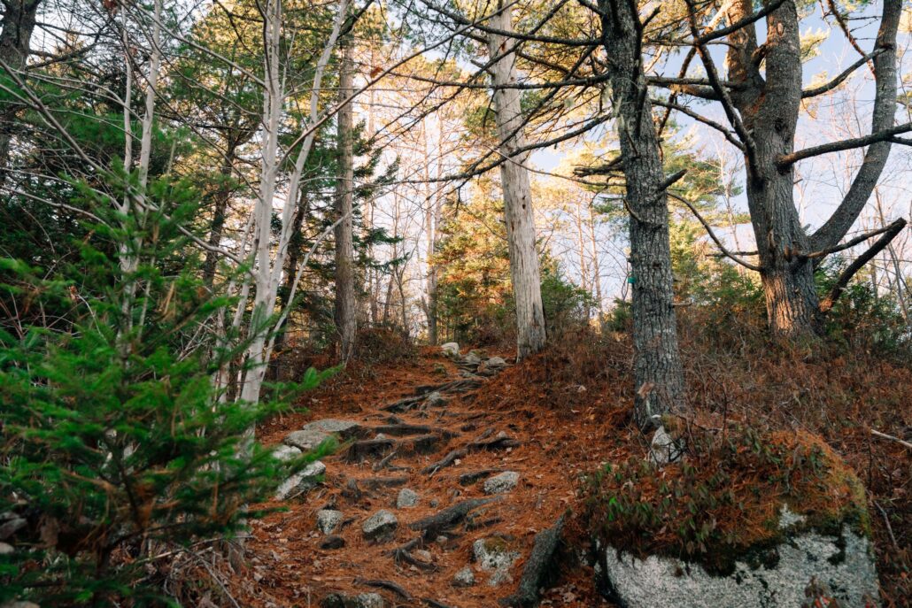 Crowbar Lake Hiking Trail - Discover Halifax