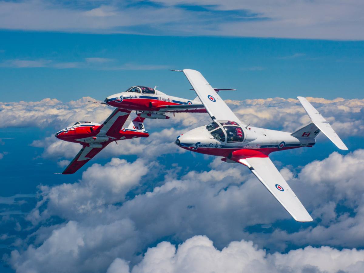 Tattoo Festival - Canadian Forces Snowbirds - Discover Halifax