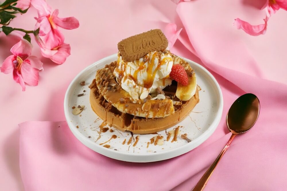 Dessert Yard - Discover Halifax