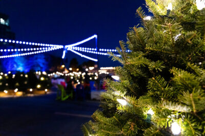 Evergreen Festival - Discover Halifax