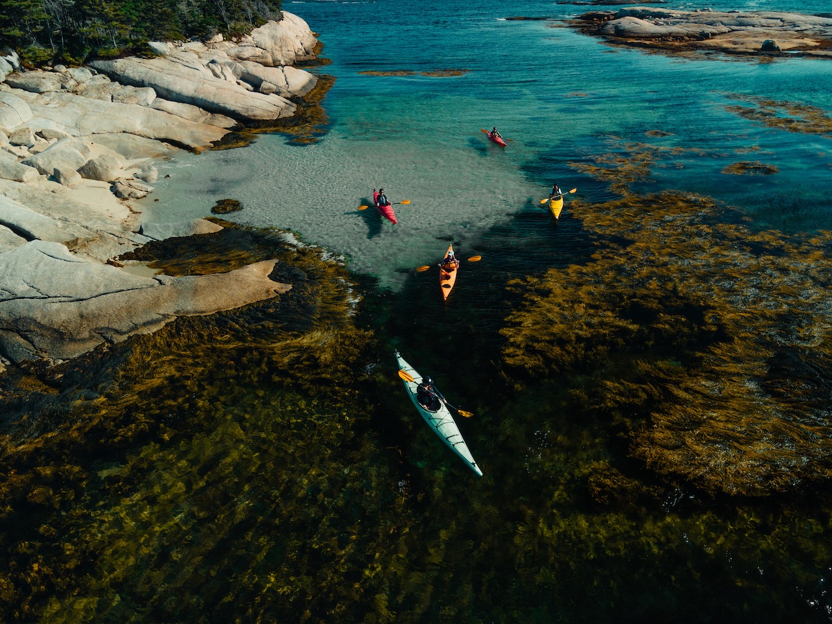 East Coast Outfitters | Island & Coastal Sea Kayak and Hike Tour ...