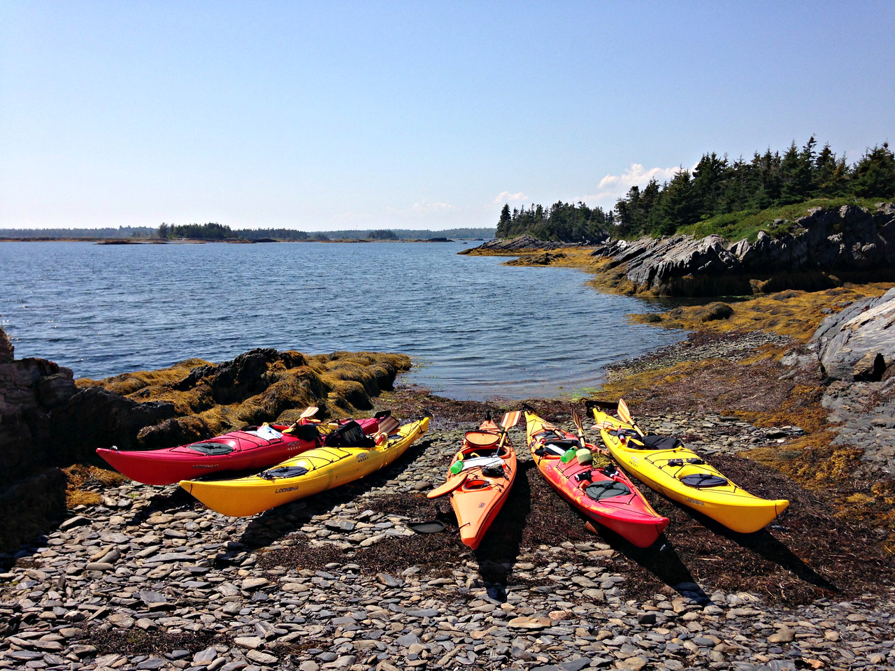 Freewheeling Adventures | South Shore Island Sea-Kayak Tour - Discover ...