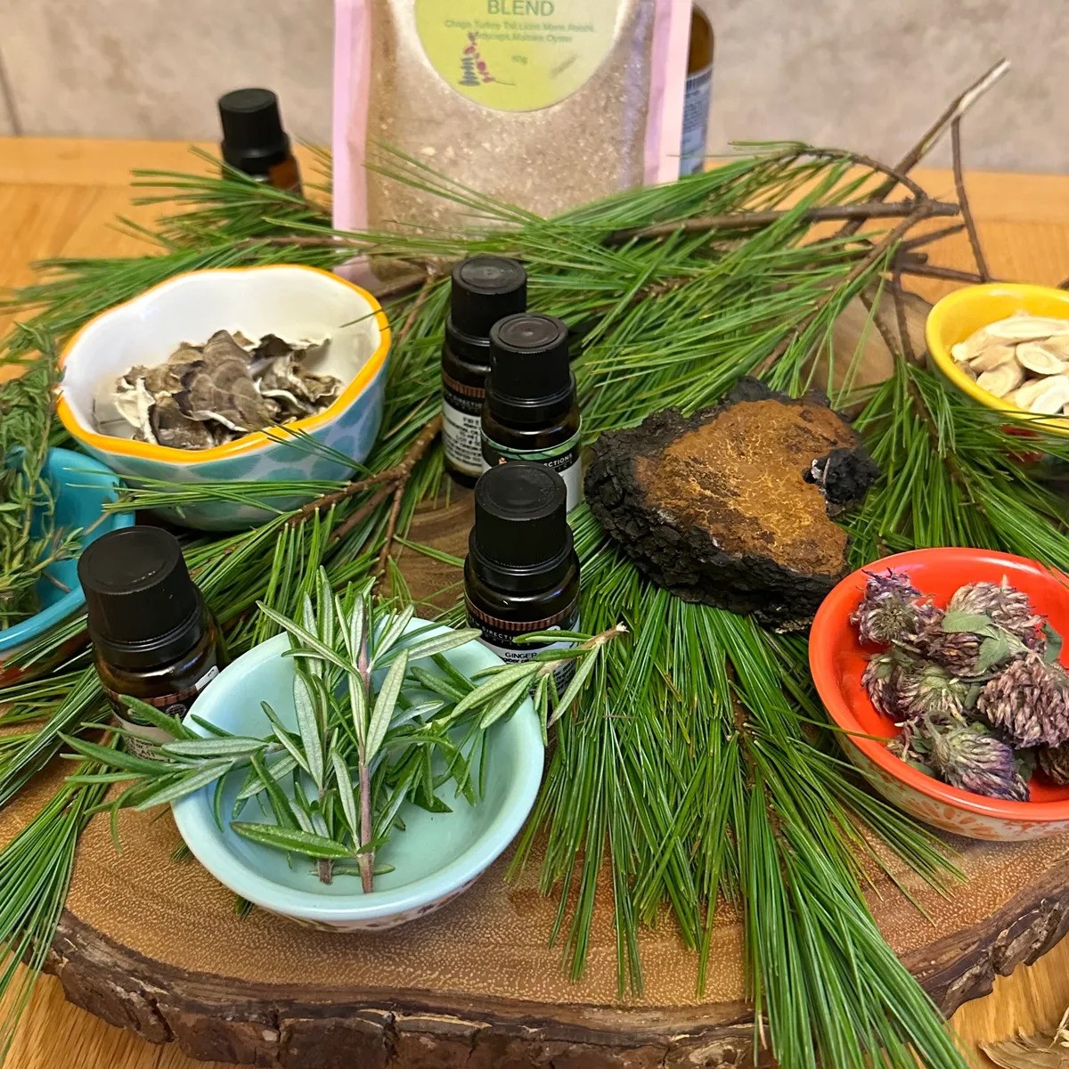 Witch in the Ditch Herbal Circle - Discover Halifax