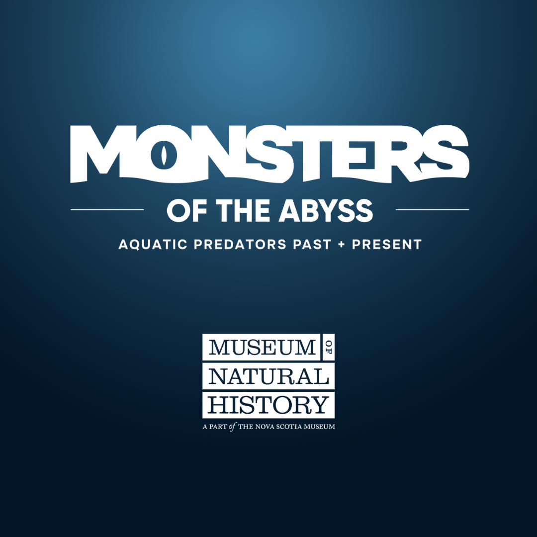 Museum of Natural History Presents The Abyss - Life in the Deep Sea ...