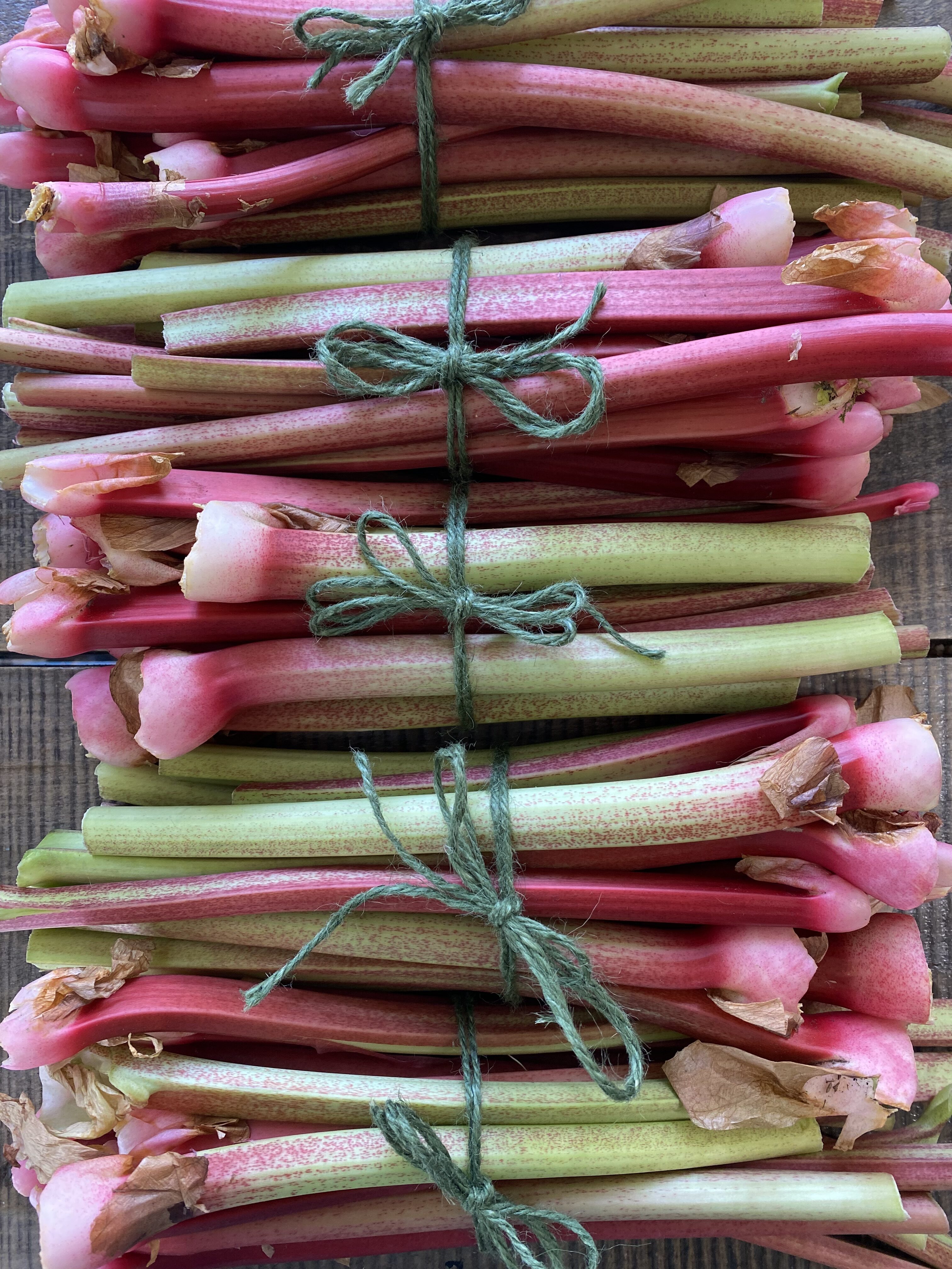 Rhubarb Rhapsody - Discover Halifax